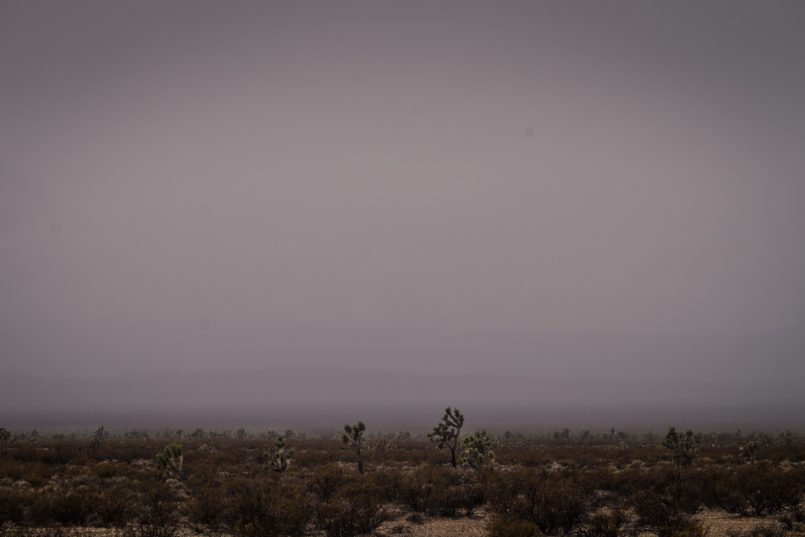Fog in the Desert – Photography & Travel