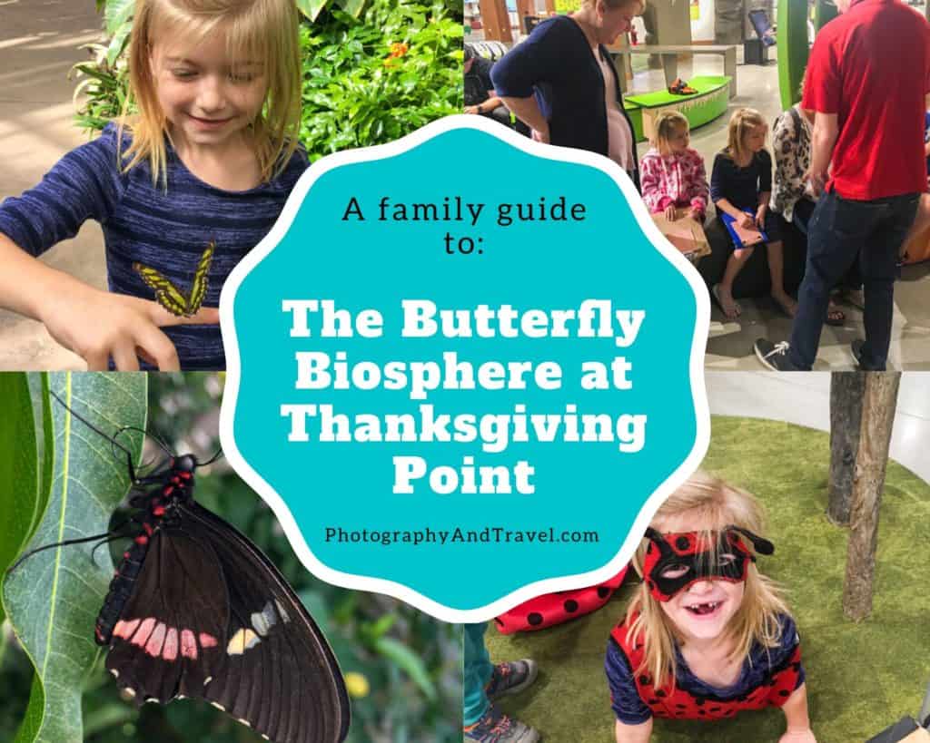 The Butterfly Biosphere at Thanksgiving Point – Photography & Travel