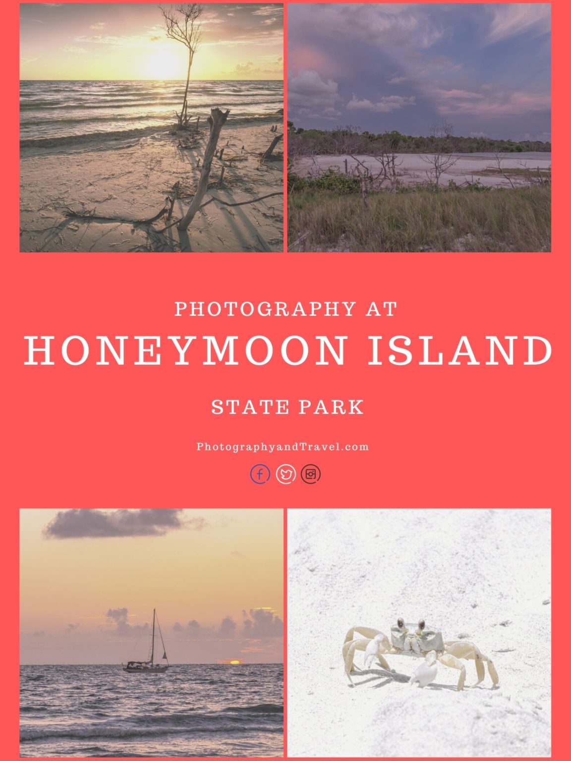 Honeymoon Island State Park-Great for Kids and Photographers ...